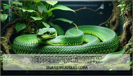 Carpet Python Snake Care Guide: Complete Setup & Health Tips