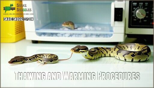 Feeding Ball Pythons Rats: Complete Guide & Size Chart