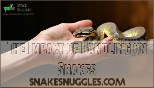 Can Snakes Bond With Humans? The Objective Truth Revealed