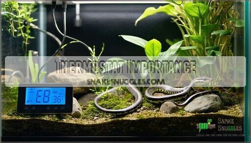 Corn Snake Lighting and Heating Needs: Complete Setup Guide