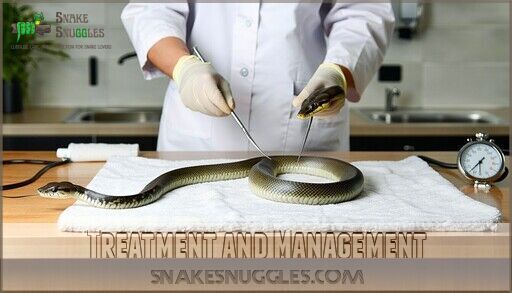 Prolapsed Vent in Snakes Treatment: Emergency Care & Prevention Tips