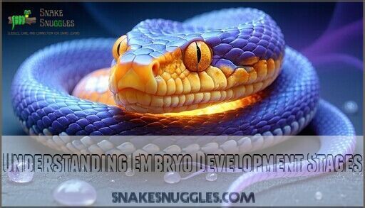 Corn Snake Egg Incubation: Complete Step-by-Step Hatching Guide