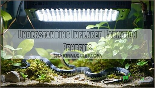 Best Heat Lamp for Snakes: 7 Top Picks Reviewed (2025 Guide)