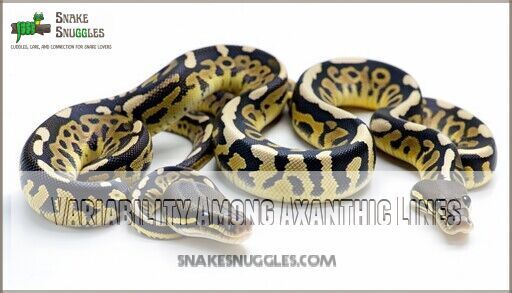 Axanthic Ball Python Morphs: Complete Facts, Genetics & Care Guide