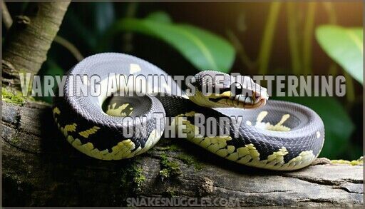 Piebald Ball Python: Complete Care Guide & Genetics Explained