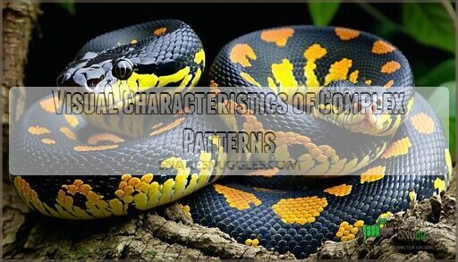 Carpet Python Pattern Variations: 15+ Stunning Morphs & Colors Guide