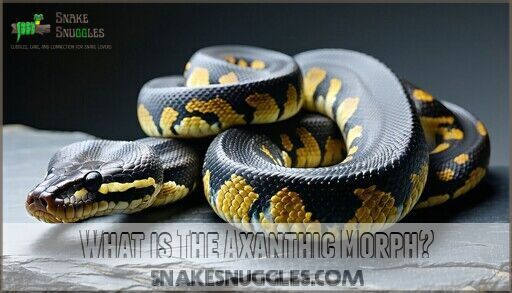 Axanthic Ball Python Morphs: Complete Facts, Genetics & Care Guide