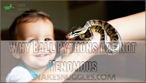 Are Ball Pythons Poisonous? Safety Facts Every Owner Should Know