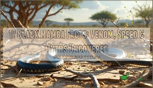 17 Black Mamba Facts: Venom, Speed & Myths Uncovered