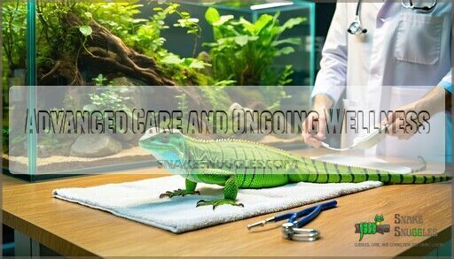 Reptile Health Checkup Procedures: a Step-by-Step Guide (2025)