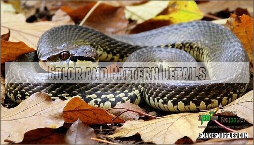 How to Identify a Copperhead Snake: Features, Habitat & Safety
