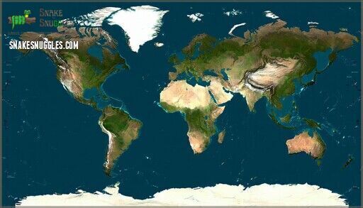 Where Are There No Snakes in The World? Countries, Islands, and Reasons