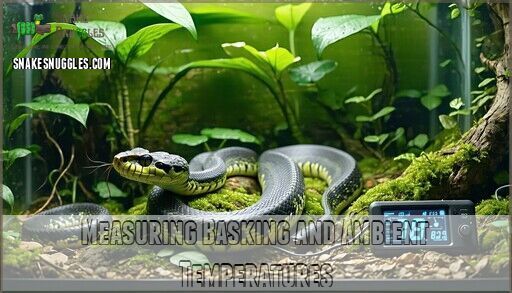 Boa Constrictor Temperature Control: Complete Care Guide 2025