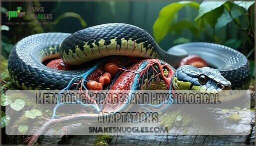 Understanding Snake Digestion After Feeding: Process & Adaptations