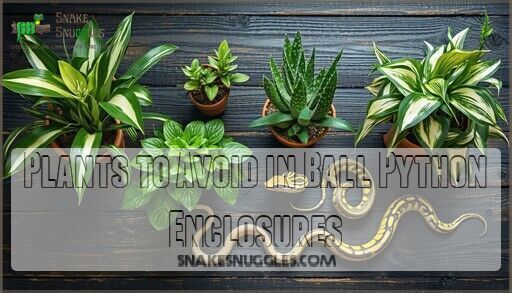 Best Plants for Ball Pythons: Safe Choices, Setup Tips & What to Avoid