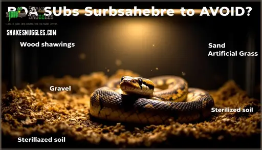 Boa Terrarium Setup Guide: Size, Substrate & Humidity (2025)
