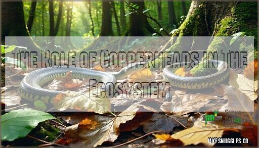 How to Identify a Copperhead Snake: Features, Habitat & Safety