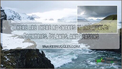 Where Are There No Snakes in The World? Countries, Islands, and Reasons