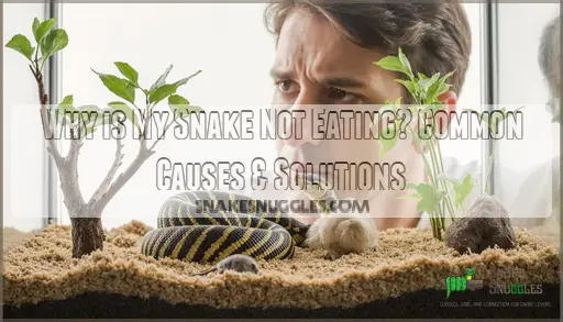 Why is My Snake Not Eating? Common Causes & Solutions