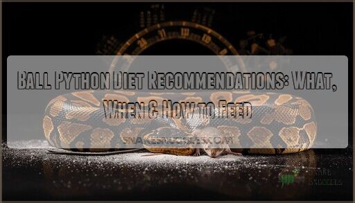 Ball Python Diet Recommendations: What, When & How to Feed