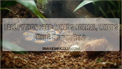 Ball Python Poop: What's Normal, What's Not & How to Help