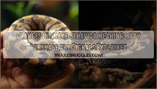 Changes in Snake Behavior Meaning: Body Language and Signals Explained