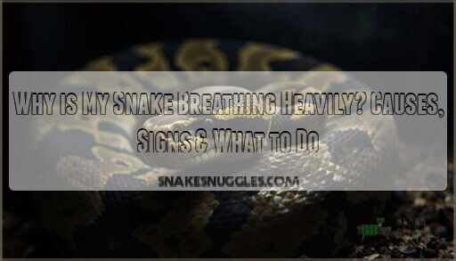 Why is My Snake Breathing Heavily? Causes, Signs & What to Do