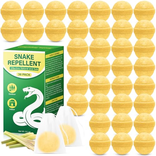 How Do Snakes Pee? Understanding Their Unique Waste System