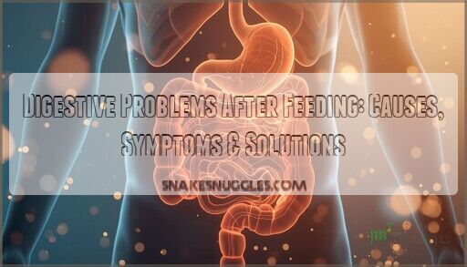 Digestive Problems After Feeding: Causes, Symptoms & Solutions