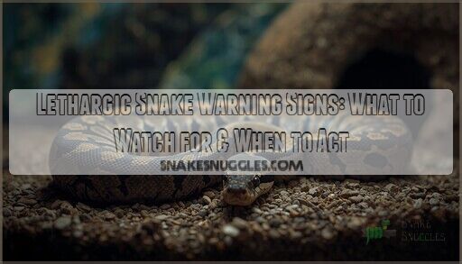 Lethargic Snake Warning Signs: What to Watch for & When to Act