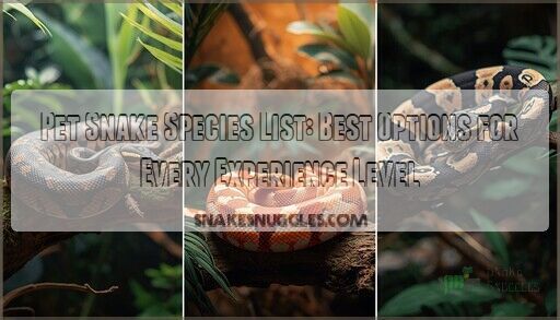 Pet Snake Species List: Best Options for Every Experience Level