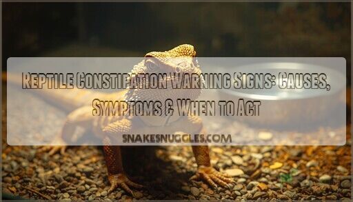 Reptile Constipation Warning Signs: Causes, Symptoms & When to Act