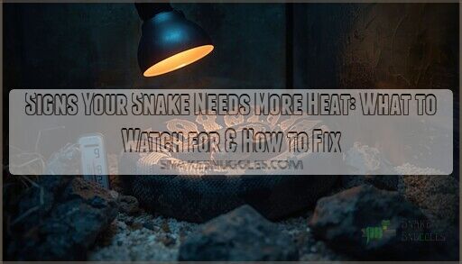 Signs Your Snake Needs More Heat: What to Watch for & How to Fix
