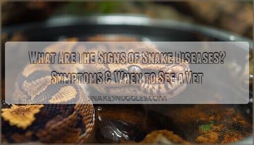 What Are The Signs of Snake Diseases? Symptoms & When to See a Vet