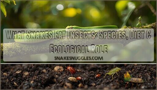 What Snakes Eat Insects: Species, Diet & Ecological Role