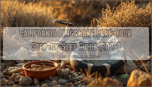 California Kingsnake Care: Your Step-by-Step Guide (2026)