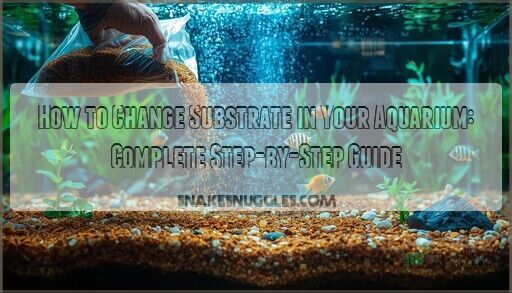 How to Change Substrate in Your Aquarium: Complete Step-by-Step Guide