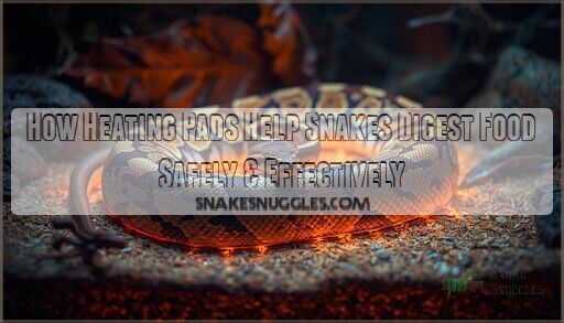 How Heating Pads Help Snakes Digest Food Safely & Effectively