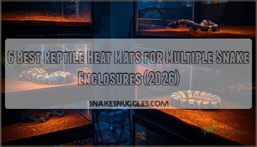 6 Best Reptile Heat Mats for Multiple Snake Enclosures (2026)