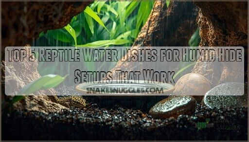 Top 5 Reptile Water Dishes for Humid Hide Setups That Work