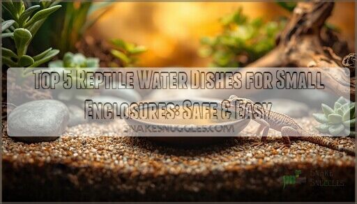Best Reptile Water Dishes for Small Enclosures: Top 4 Picks