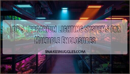 Top 5 Terrarium Lighting Systems for Multiple Enclosures