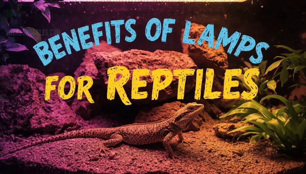 Reptile Health and Nutrition: Essential Care Guide for Pet Owners
